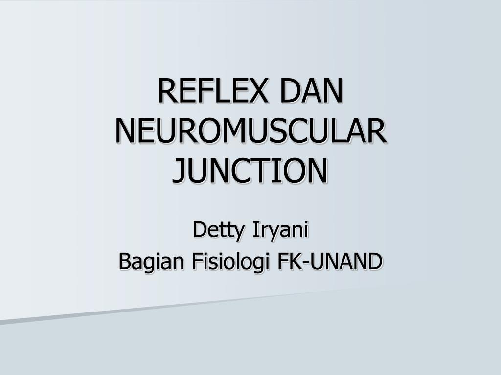 PPT - REFLEX DAN NEUROMUSCULAR JUNCTION PowerPoint Presentation, free ...