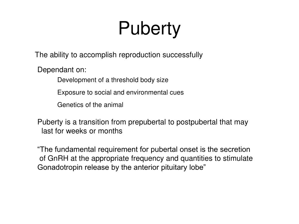 PPT - Puberty PowerPoint Presentation, free download - ID:3589843