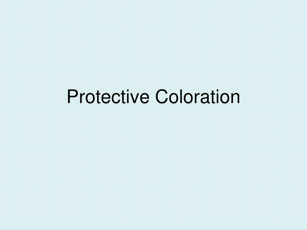 PPT - Protective Coloration PowerPoint Presentation, free download - ID ...