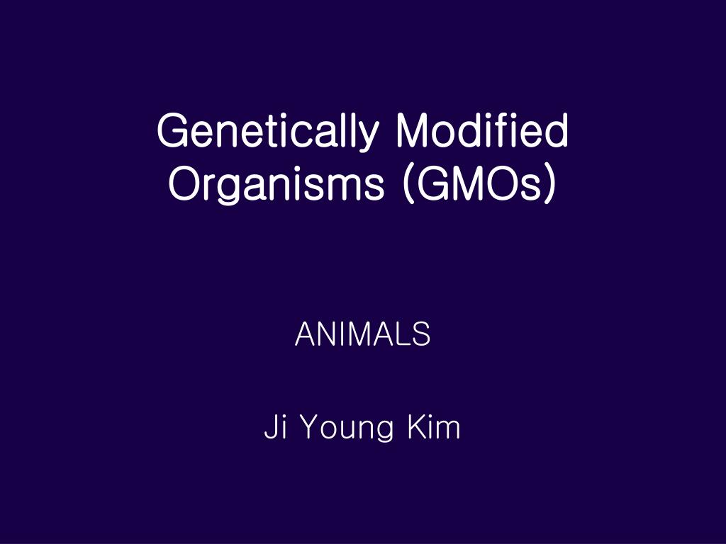 PPT - Genetically Modified Organisms (GMOs) PowerPoint Presentation ...