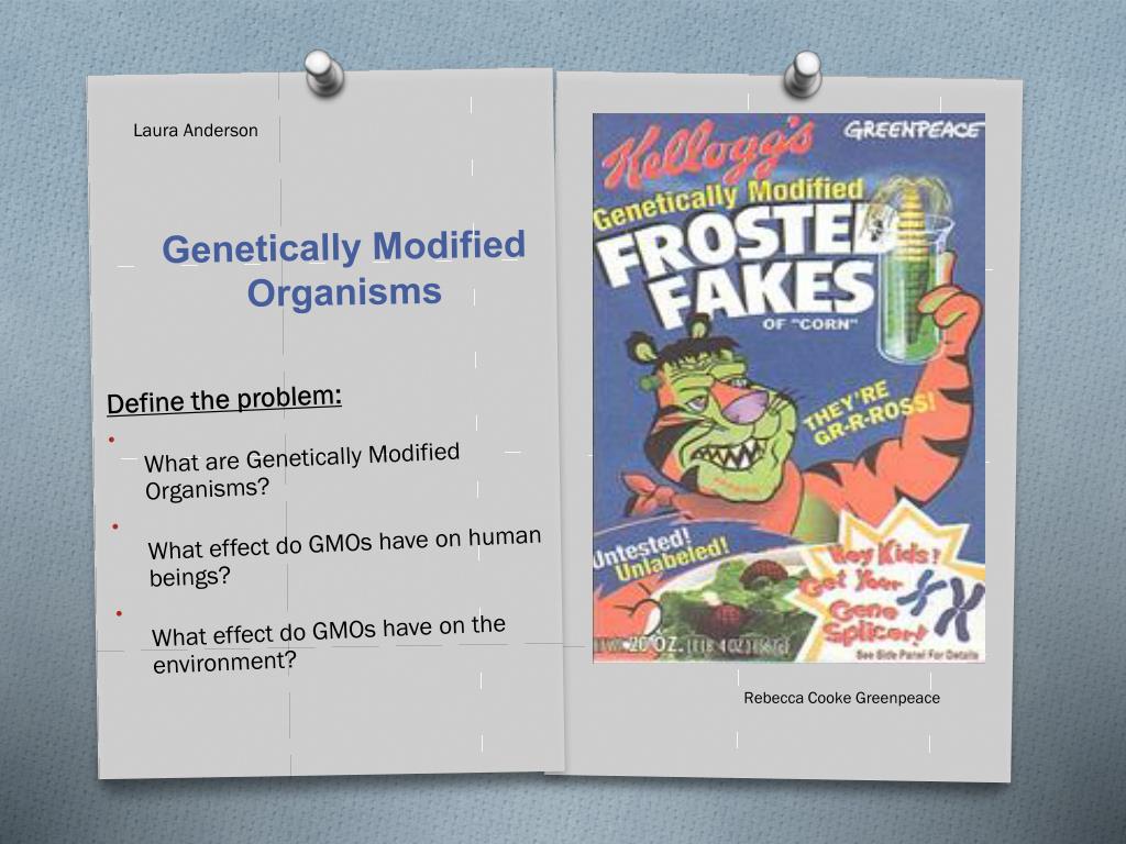 PPT - Genetically Modified Organisms PowerPoint Presentation, free ...