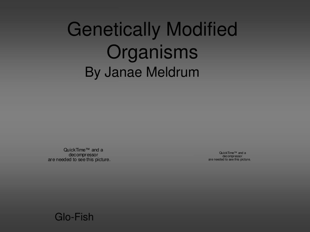 PPT - Genetically Modified Organisms PowerPoint Presentation, free ...