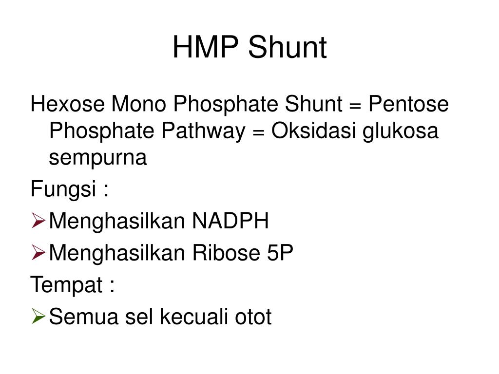PPT - HMP Shunt PowerPoint Presentation, free download - ID:3592093