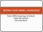 PPT - Animal Testing PowerPoint Presentation, free download - ID:5546059