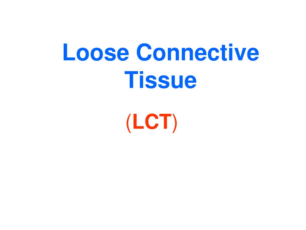PPT - Loose Connective Tissue PowerPoint Presentation, free download ...