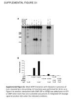 PPT - Good Manufacturing Practices (GMP), Good Laboratory Practices ...