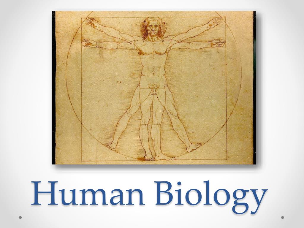 PPT - Human Biology PowerPoint Presentation, free download - ID:3600846
