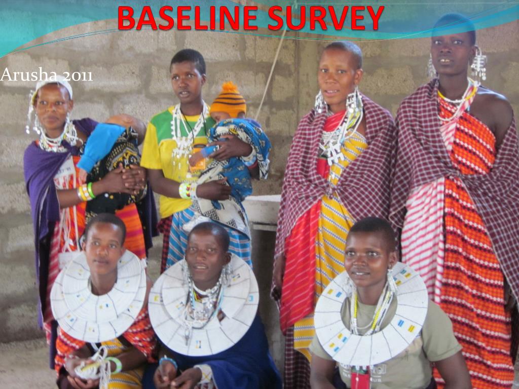 PPT - BASELINE SURVEY PowerPoint Presentation, free download - ID:3601398