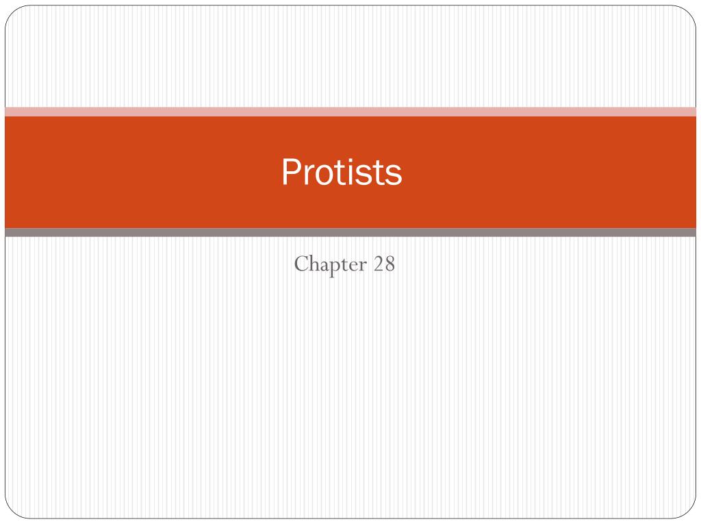PPT - Protists PowerPoint Presentation, free download - ID:3603130